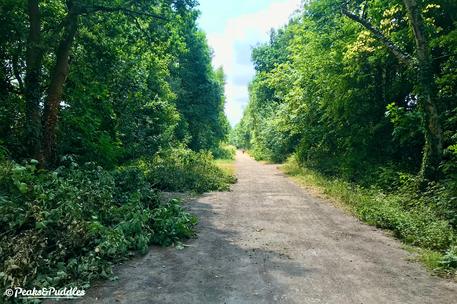 Middlewood Way cycle route guide – Peaks & Puddles • Peak District ...