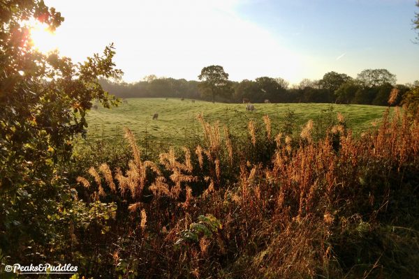 Middlewood Way cycle route guide • Peaks & Puddles • Peak District ...