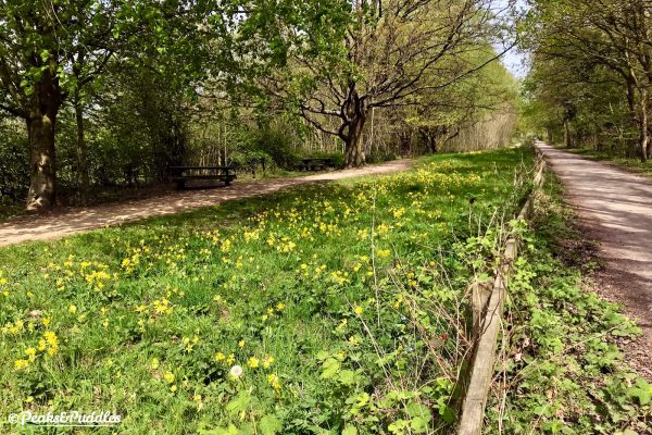 Middlewood Way cycle route guide • Peaks & Puddles • Peak District ...