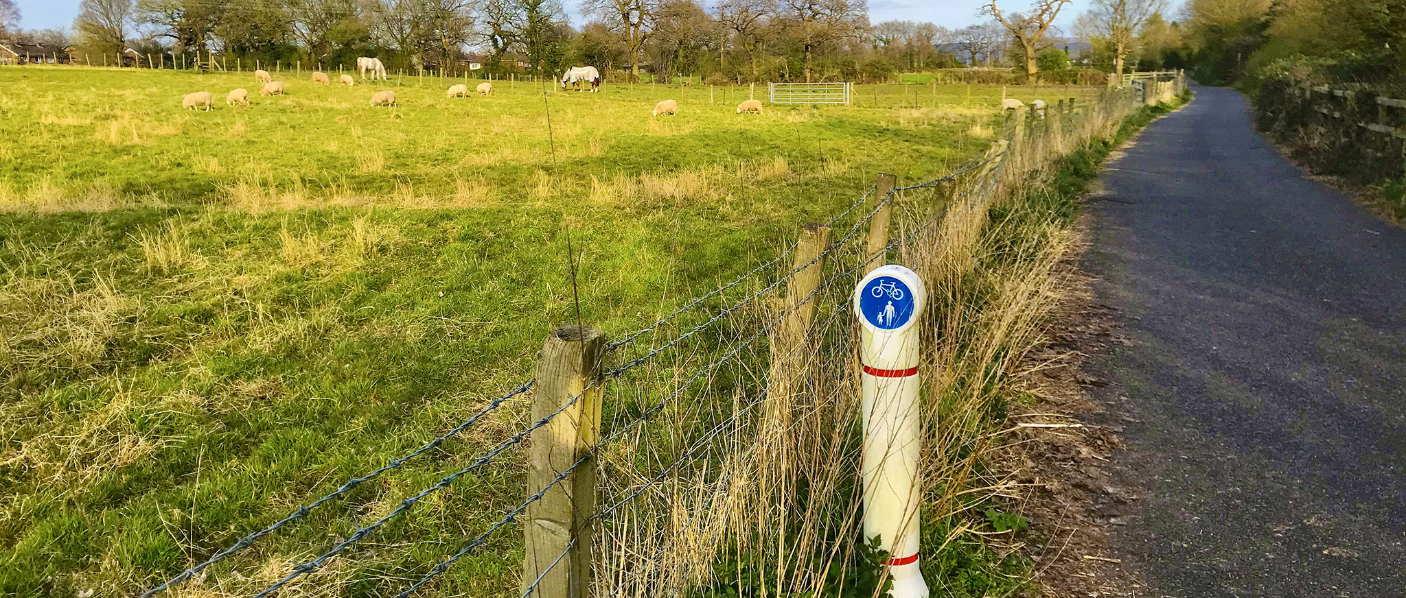 Cycling on Shared Paths • Peaks & Puddles • Peak District Cycling Guide ...