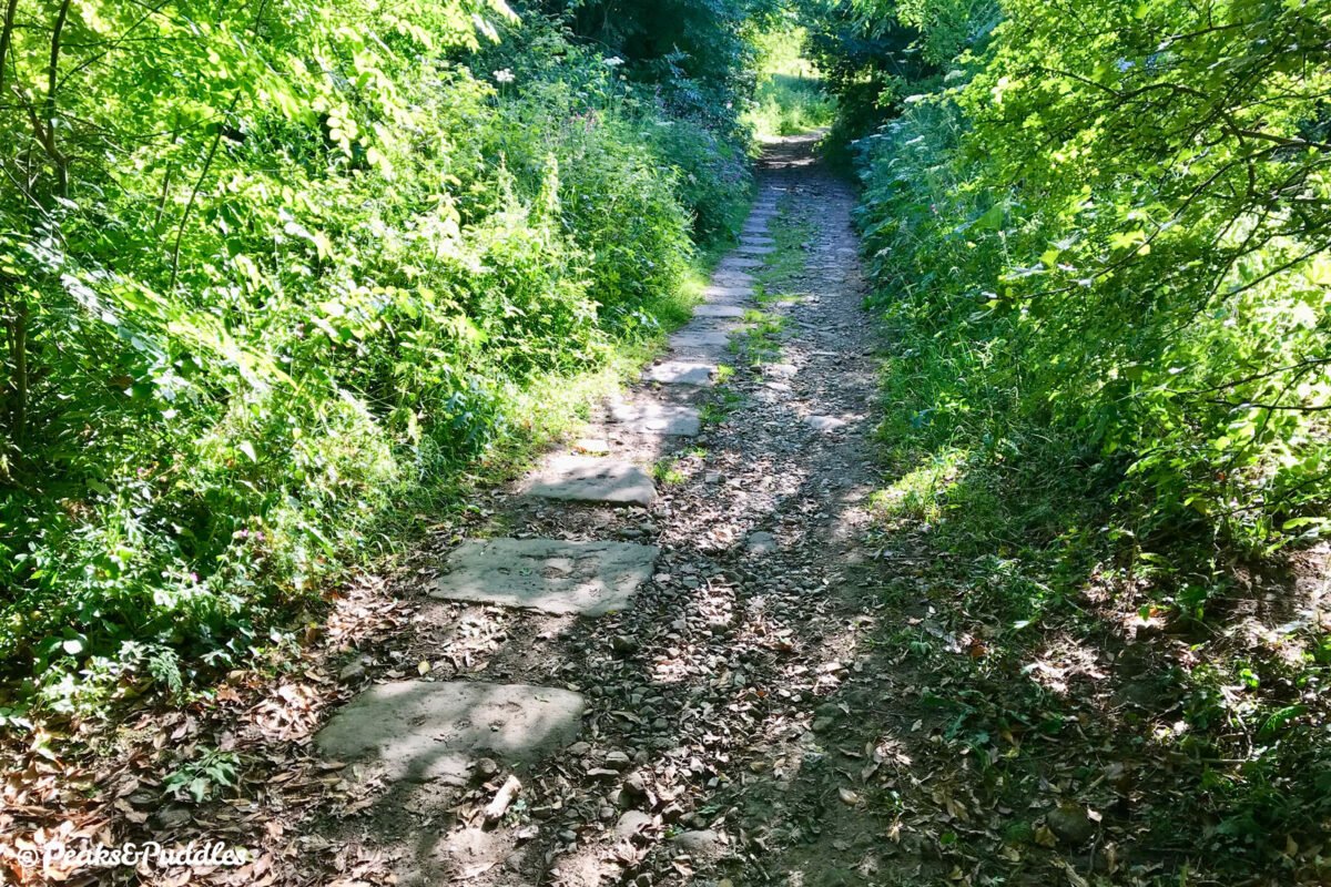 Peak Forest Tramway Trail – Peaks & Puddles