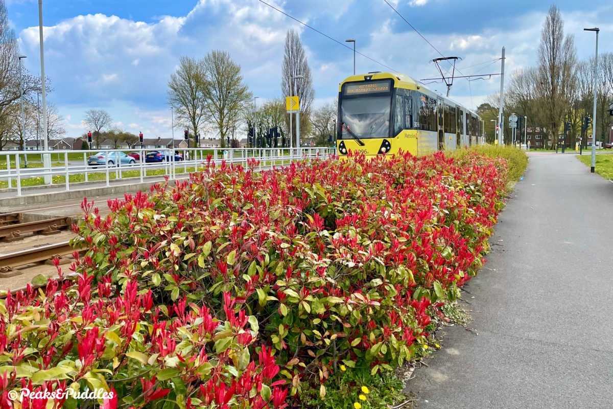 Manchester Airport Orbital Cycleway cycle route guide • Peaks & Puddles ...