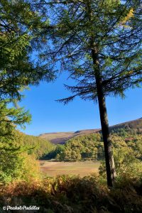Upper Derwent Valley cycle route guide • Peaks & Puddles • Peak ...