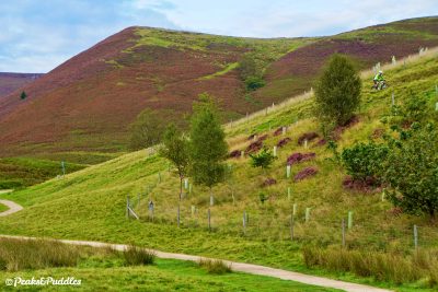 Upper Derwent Valley cycle route guide • Peaks & Puddles • Peak ...