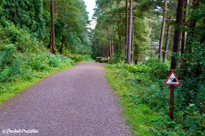Upper Derwent Valley cycle route guide • Peaks & Puddles • Peak ...