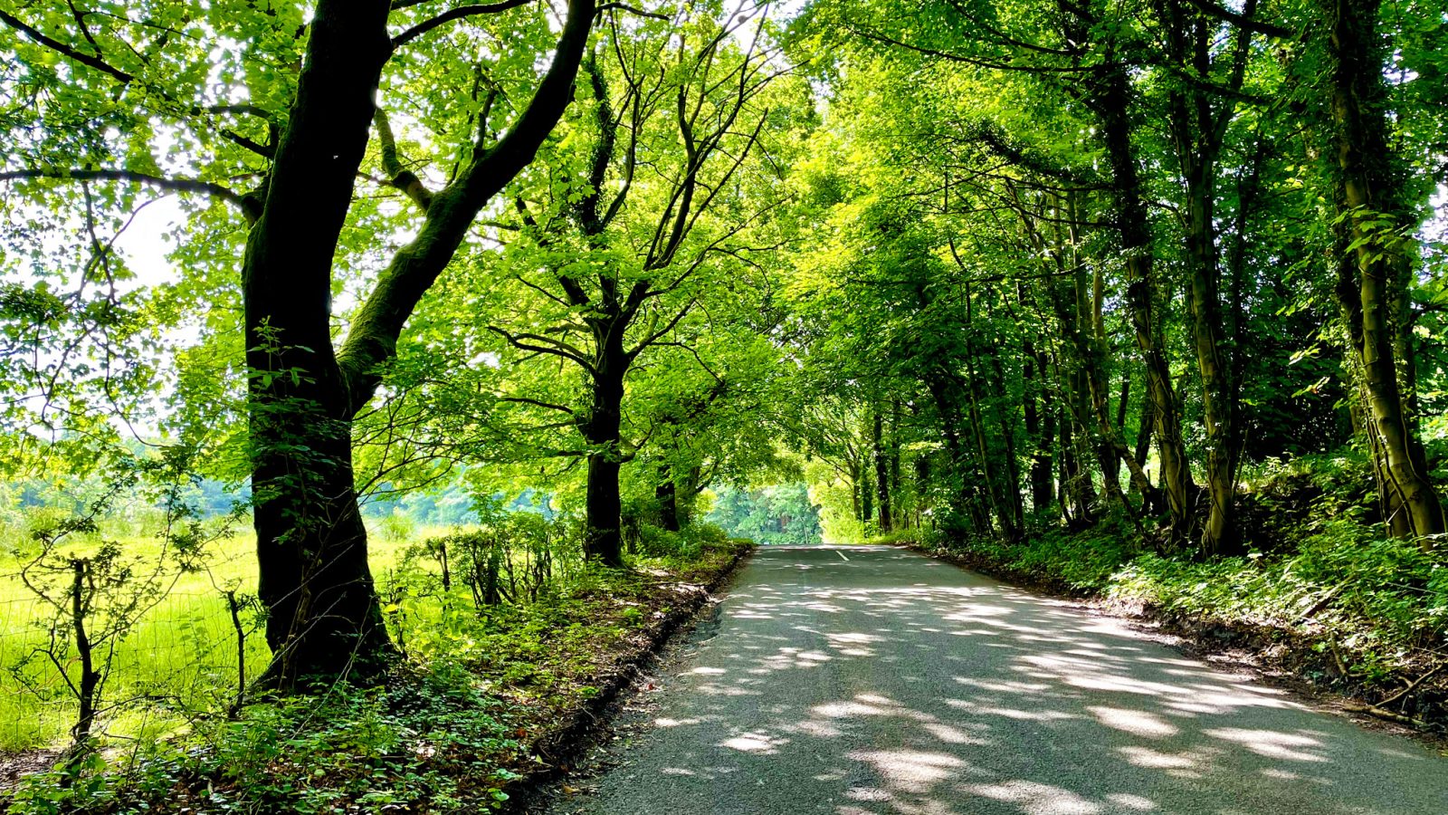 Marple Cycle Routes and Walks • Peaks & Puddles • Peak District Cycling ...